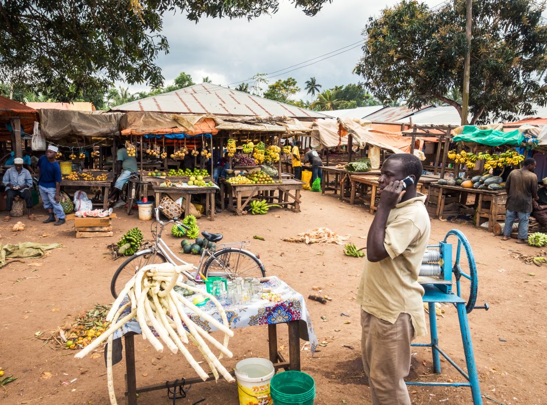 Local Market On Zanzibar Island - Global Development Institute Blog